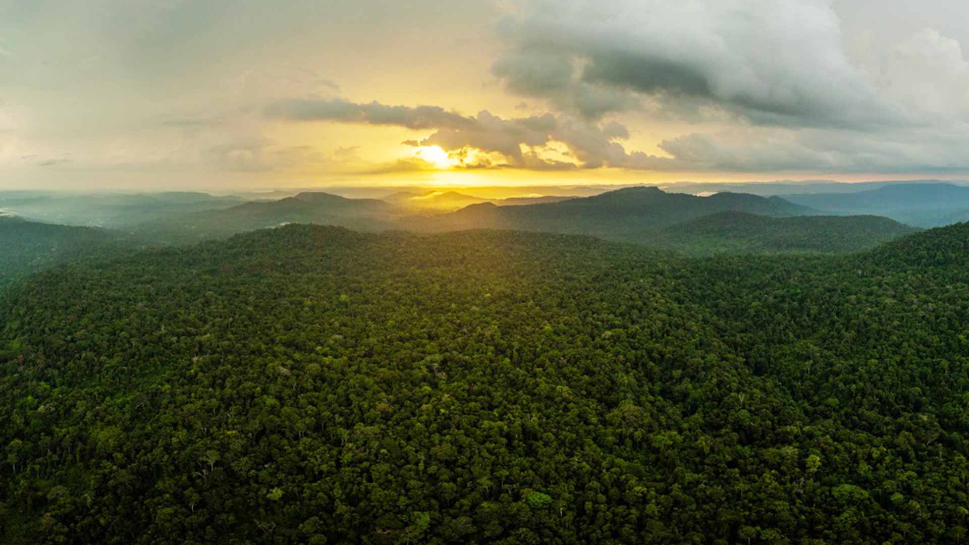 Samkos REDD+ - Samkos REDD+